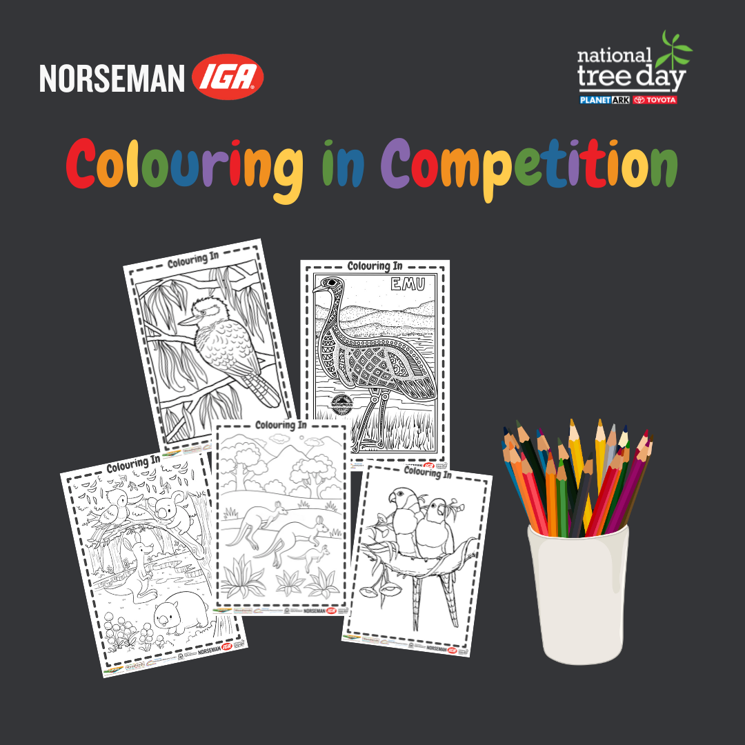 National Tree Day Colouring in Competition » Shire of Dundas